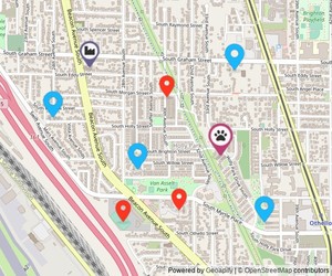 Map Tiles: Vector and Raster Maps for Leaflet, Mapbox/MapLibre GL, OpenLayers